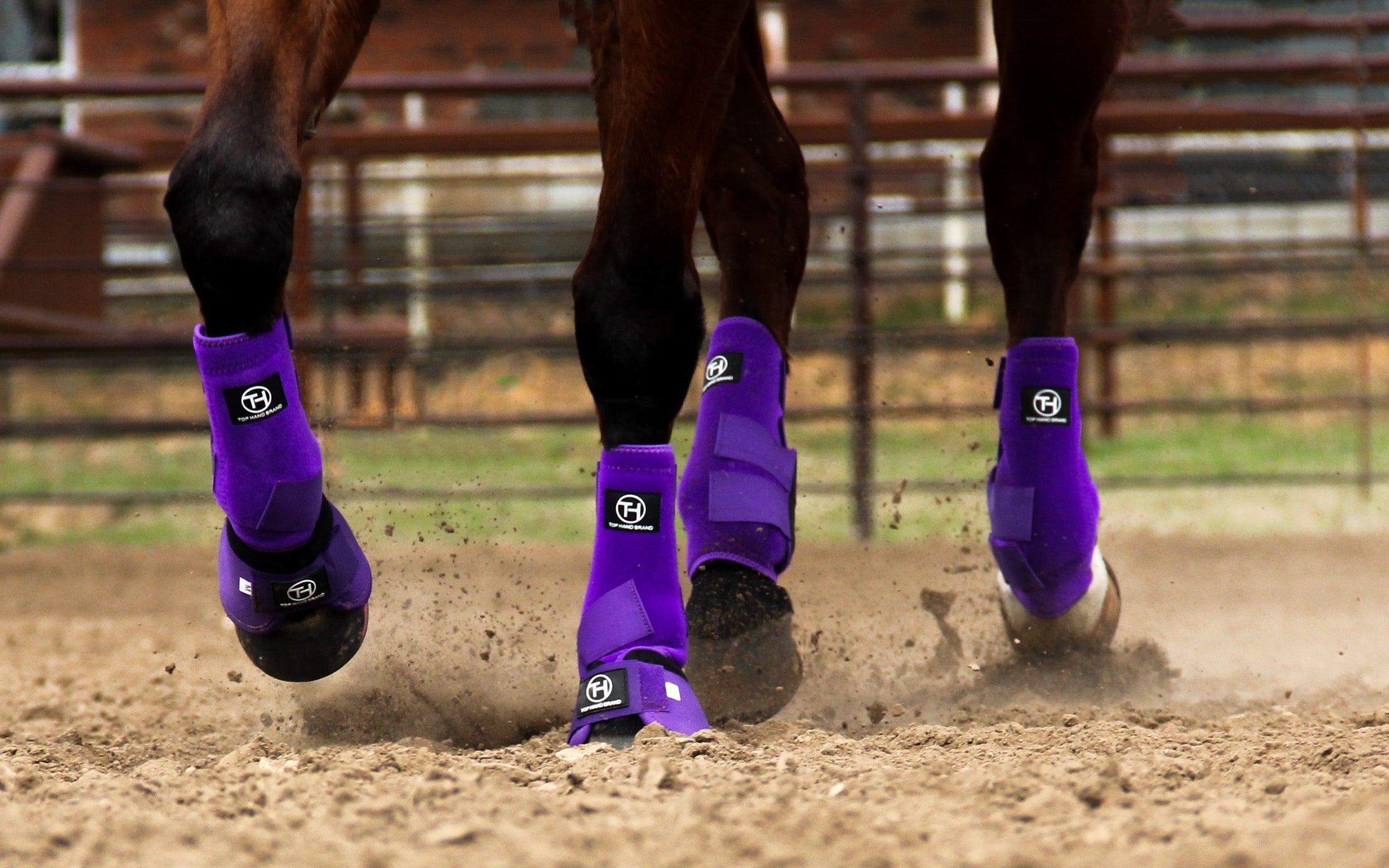 Solid Purple Boot Bundle – Top Hand Brand