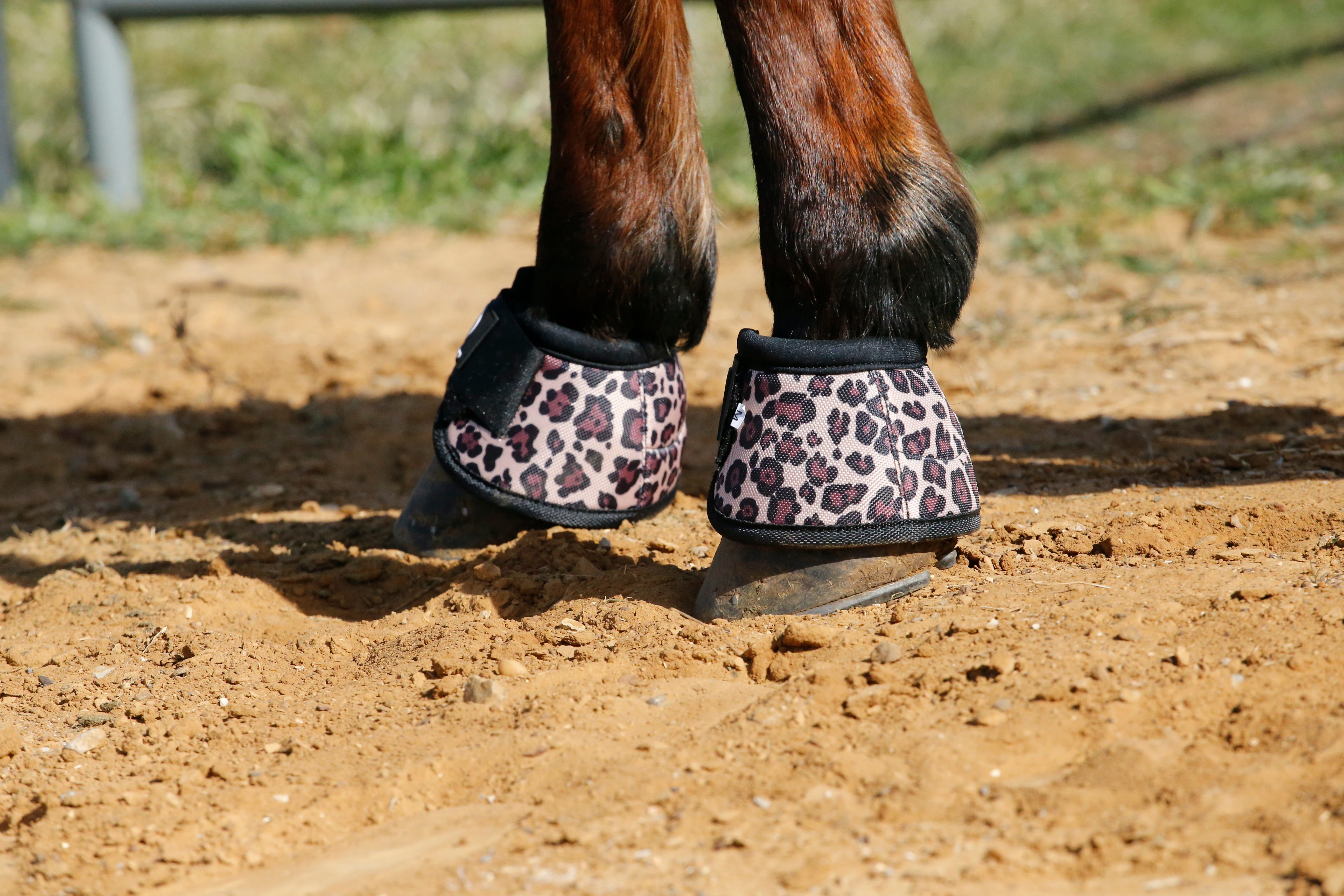 Cheetah Black Boot Bundle – Top Hand Brand